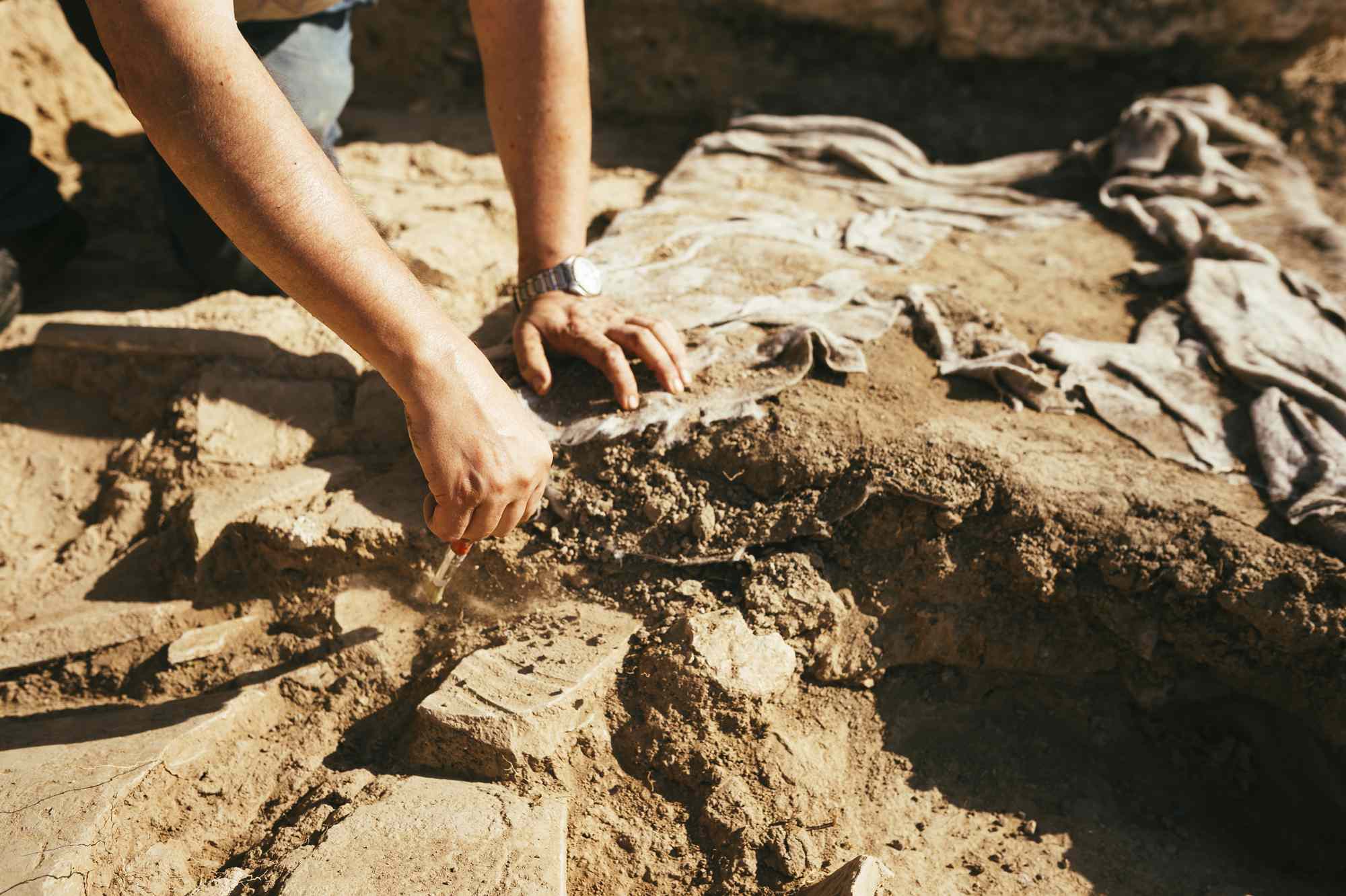 Rare 520-million-year-old fossil found with internal organs intact: 'My ...