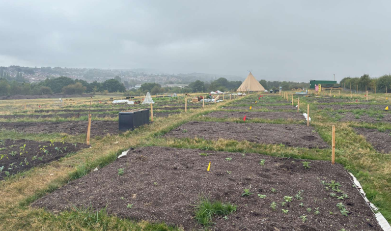 Sheffield green belt: Allotment firm fights order to remove green belt ...