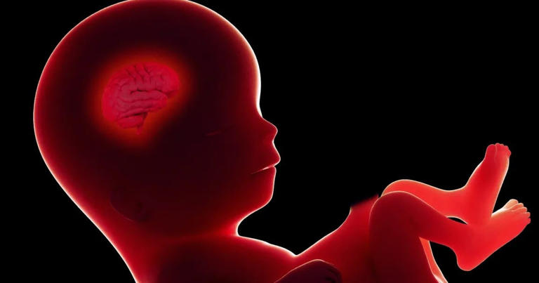 UK IVF trait selection sparks eugenics debate