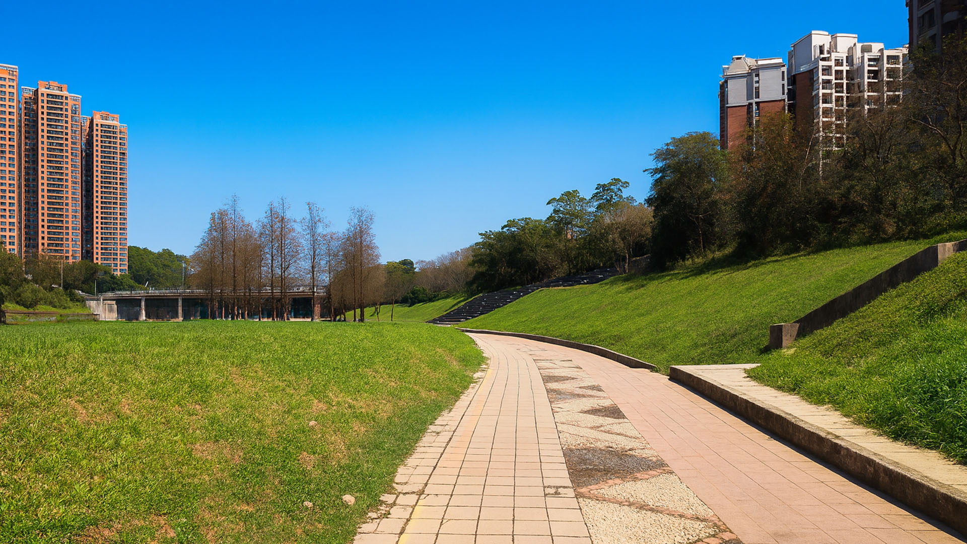 Moderne livsstil og grøn harmoni i Shenzhen