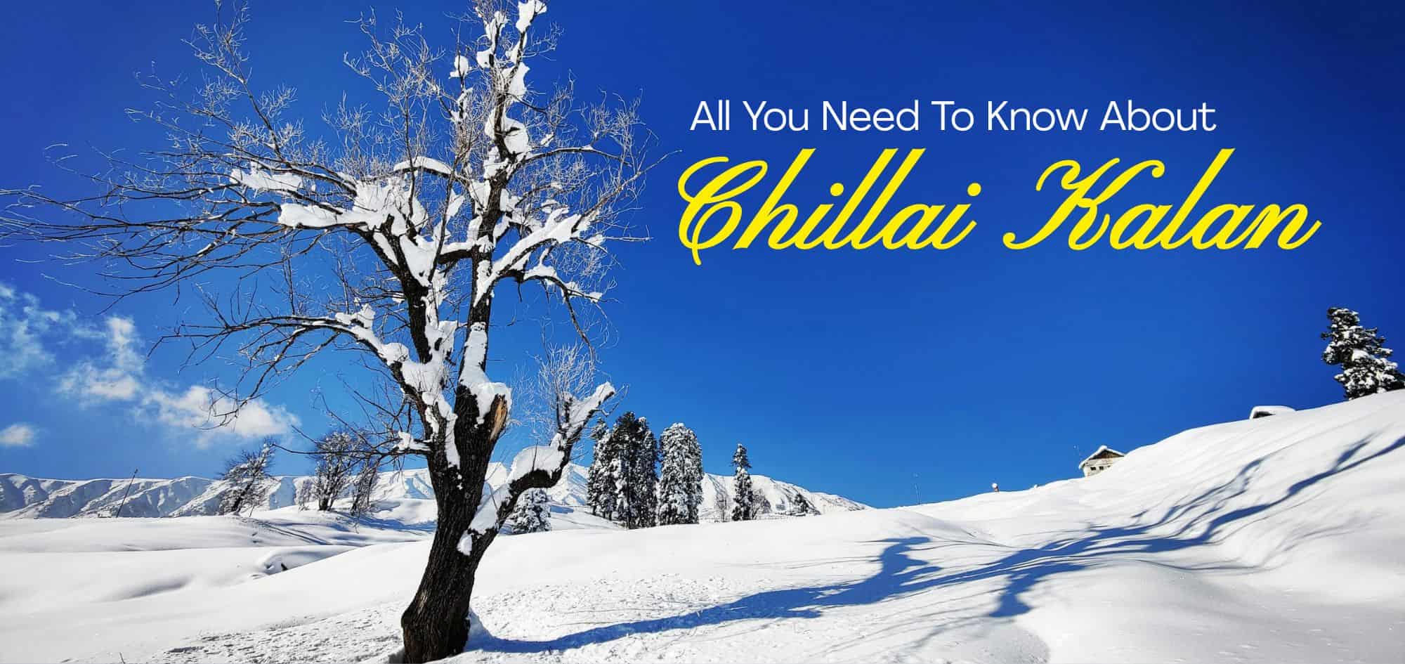 Chillai Kalan: Why this 40 day winter spell matters in Kashmir