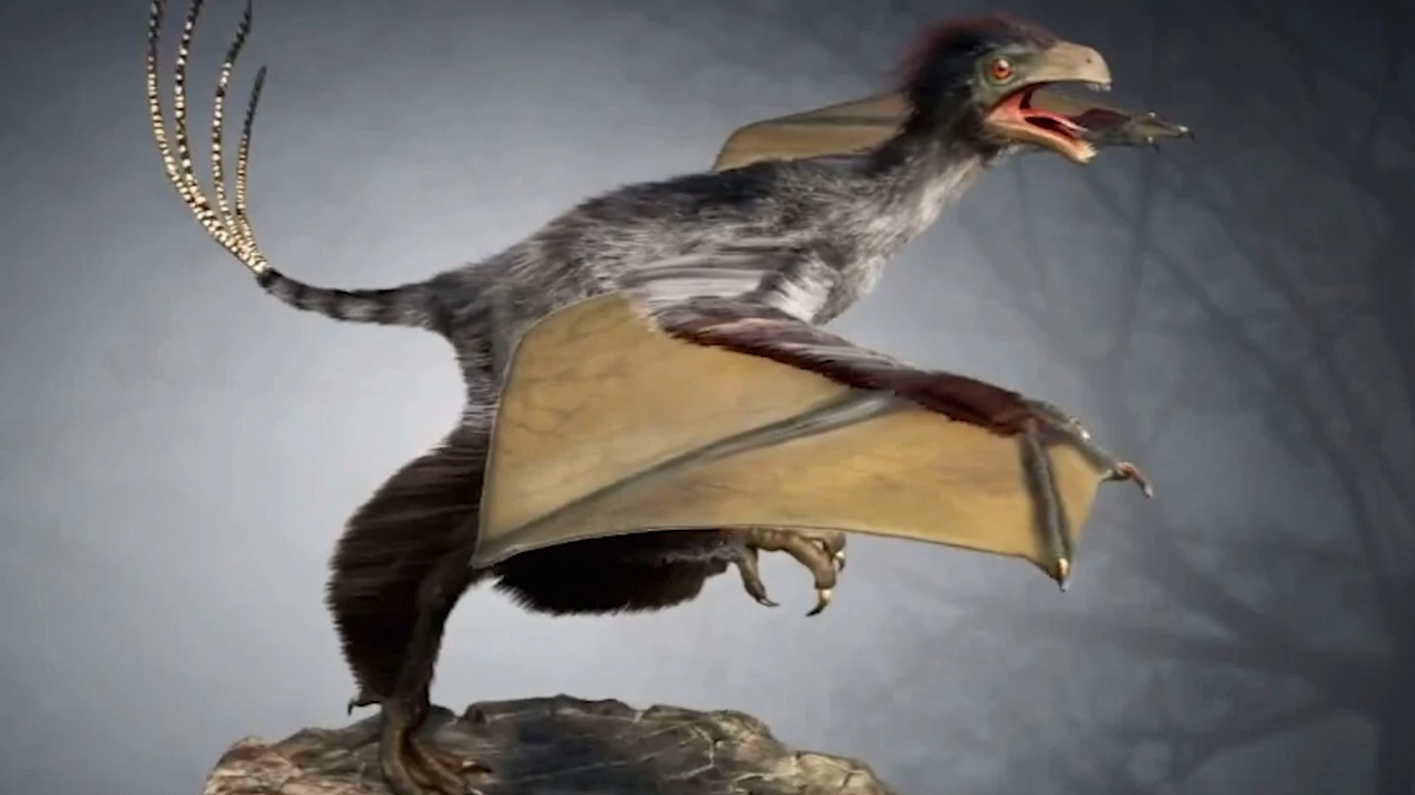 Yi Qi and the puzzle of how this ancient glider survived its world
