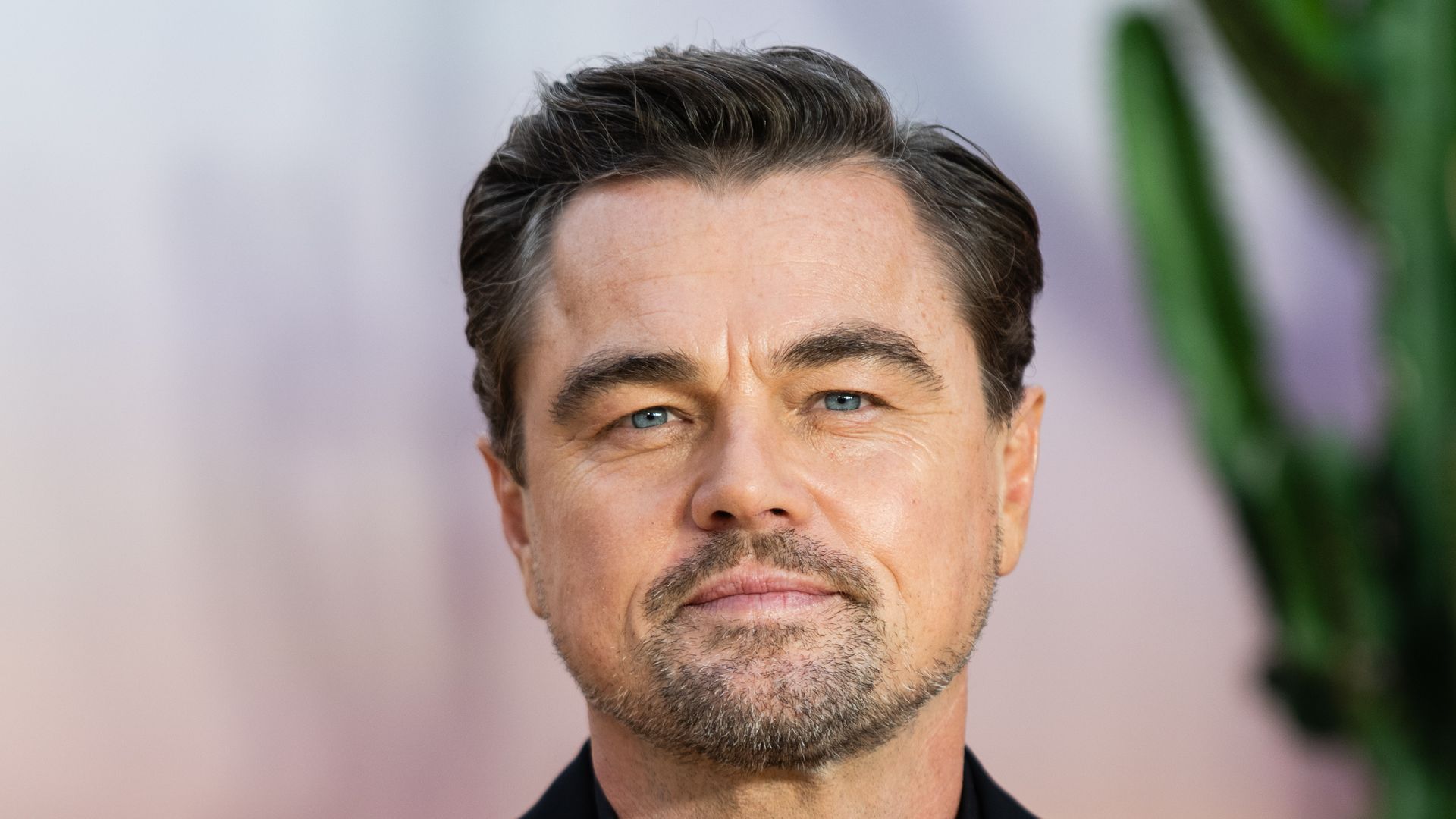 Inside Leonardo DiCaprio's net worth and the mind-boggling amount his ...