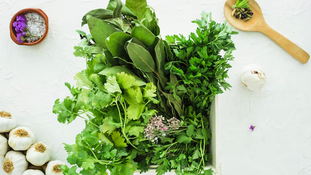 ठंड में बच्चों की इम्यूनिटी बढ़ाने में फायदेमंद हैं ये 5 आयुर्वेदिक ...