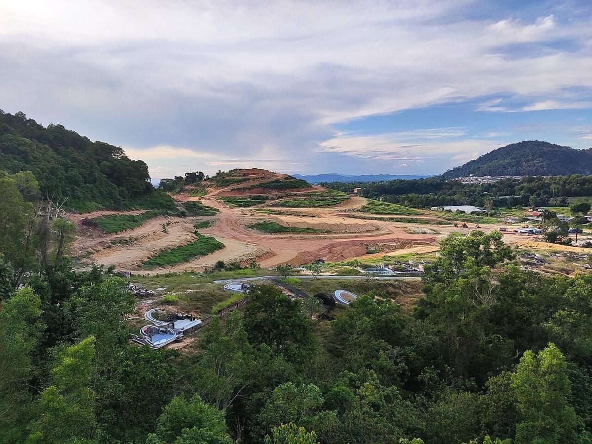 Apakah hutan yang rusak bisa pulih sendiri tanpa campur tangan manusia ...