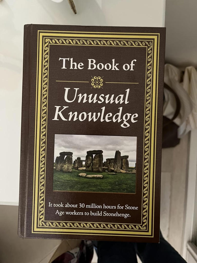 If you don't know what to get someone, consider these 57 crowd-pleasing ...