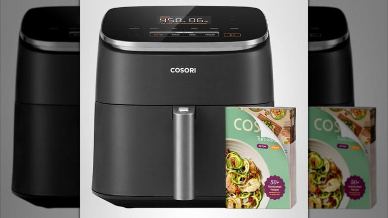 The best and worst air fryers to buy, according to reviews