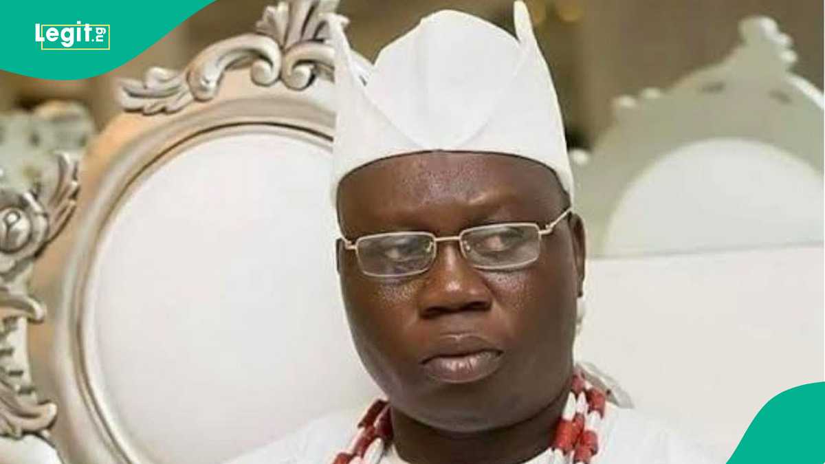 “We spotted a lot”: Gani Adams reveals 40 LGAs infiltrated by ...