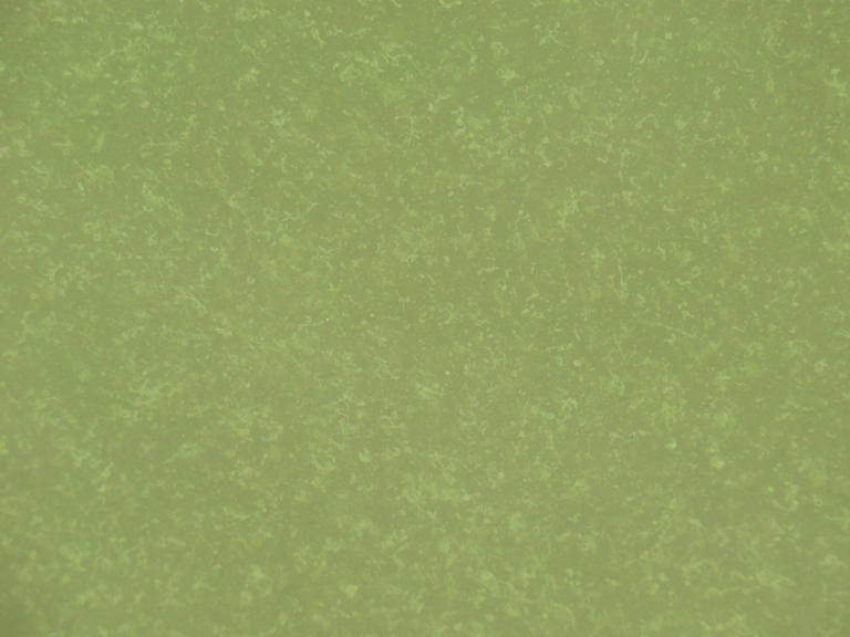 It was mild bloom year on Lake Erie, but upstream challenges persist