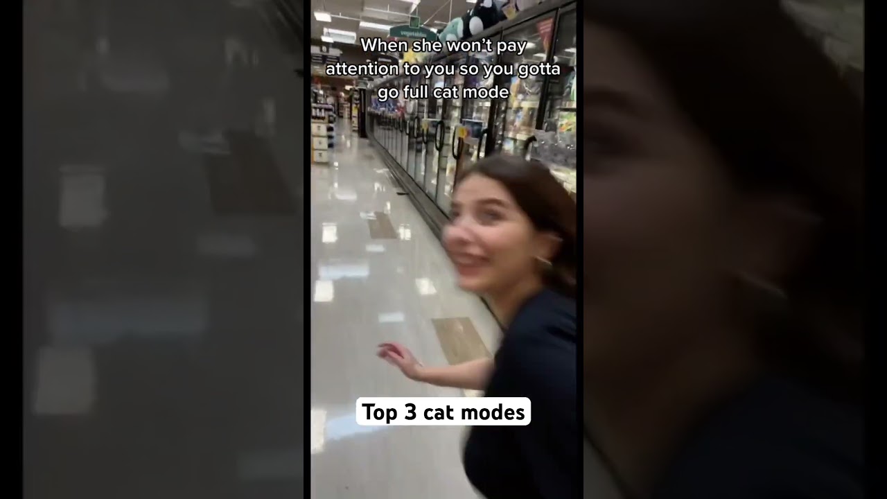 Cat mode has taken over