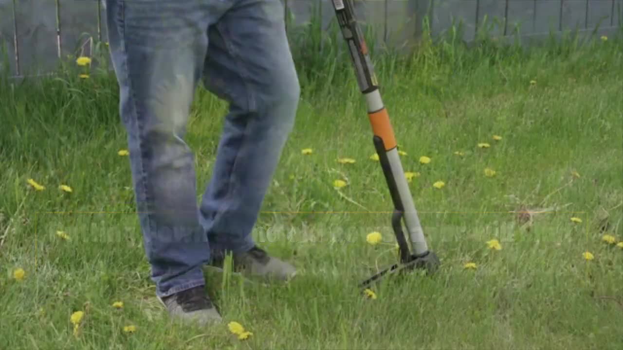 4 natural weed killers that actually work