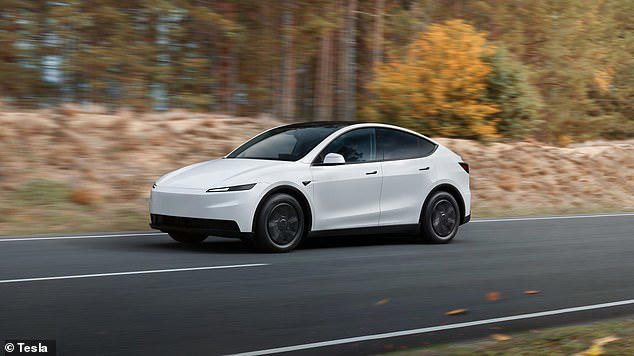 Cut-price Model Y Standard arrives soon - will cheaper version of Tesla ...