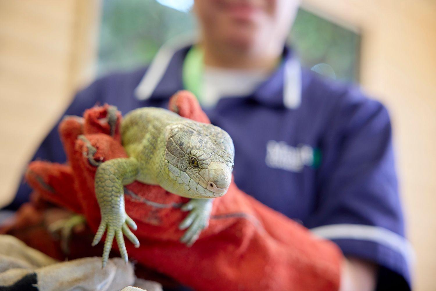 Moulton College partners with Nature’s SAFE to boost animal ...