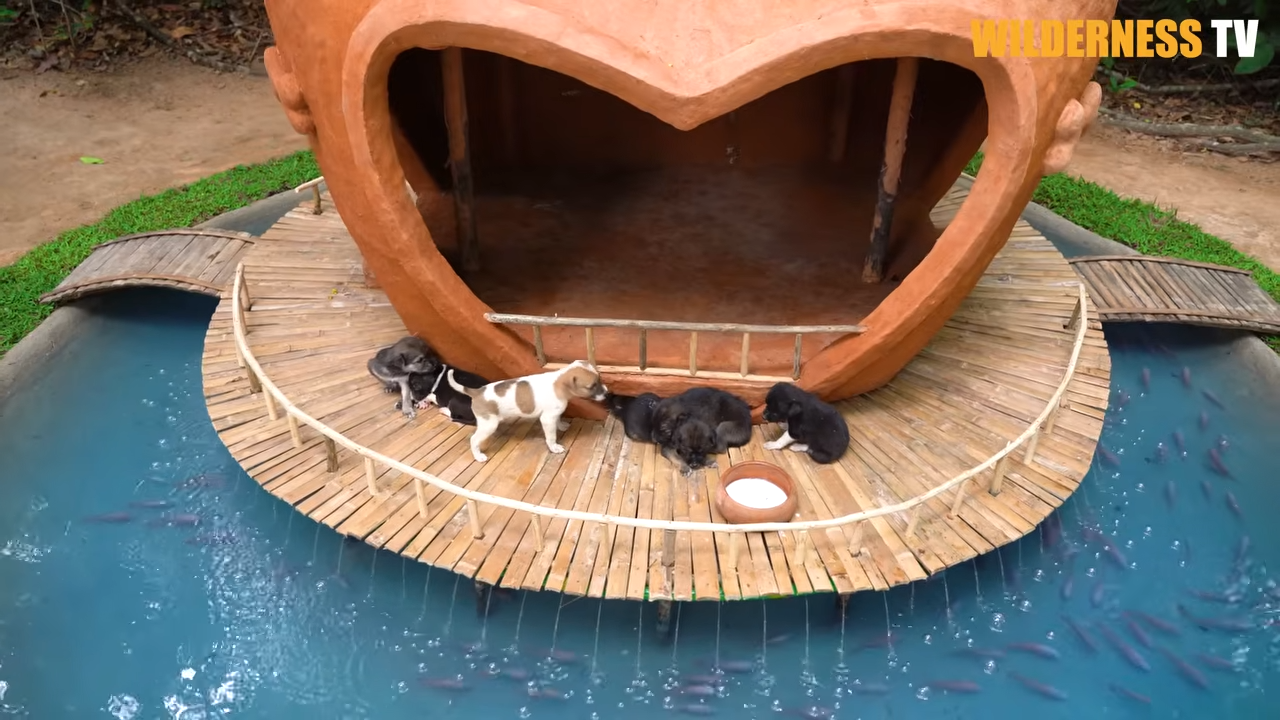 Rescued puppies get a dream mud house with a sparkling fish pond built by hand