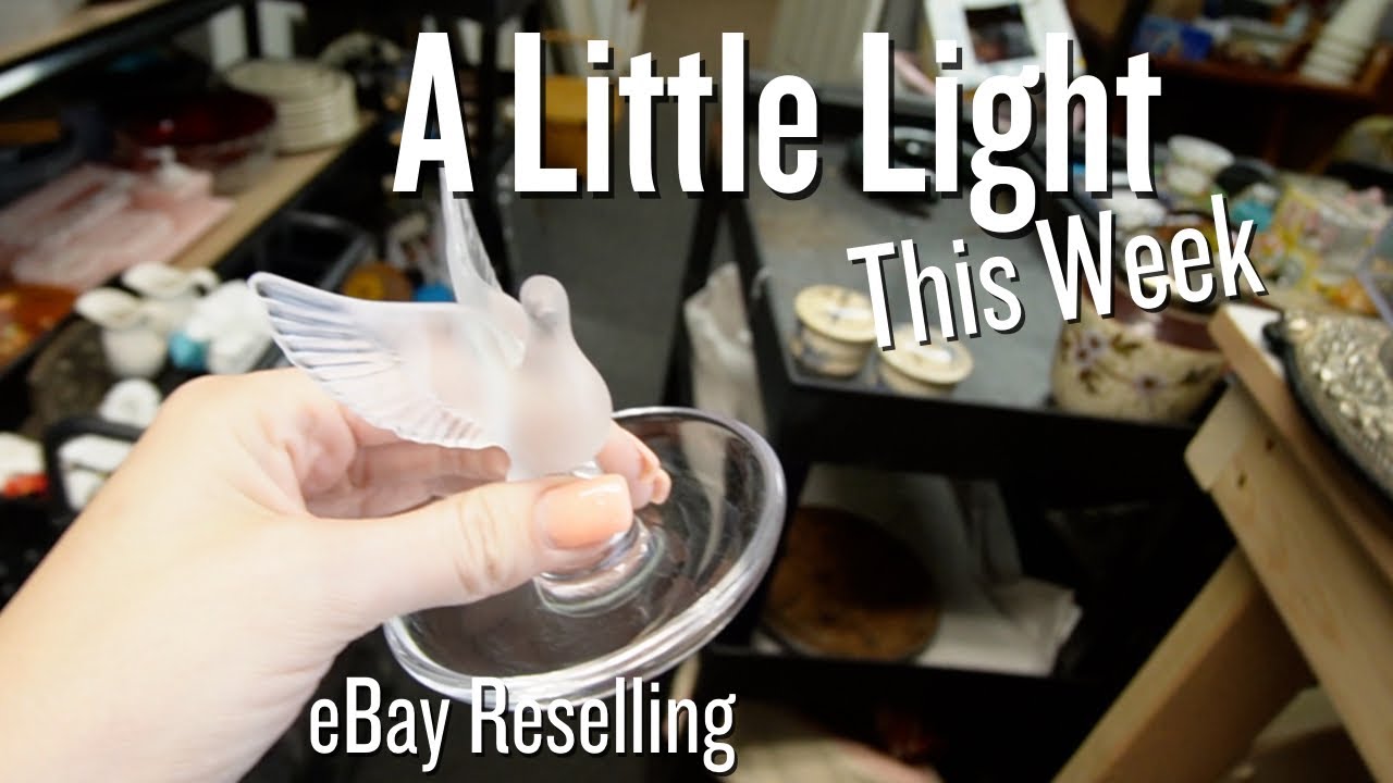 A little light this week | eBay reselling behind the scenes | Crazy ...