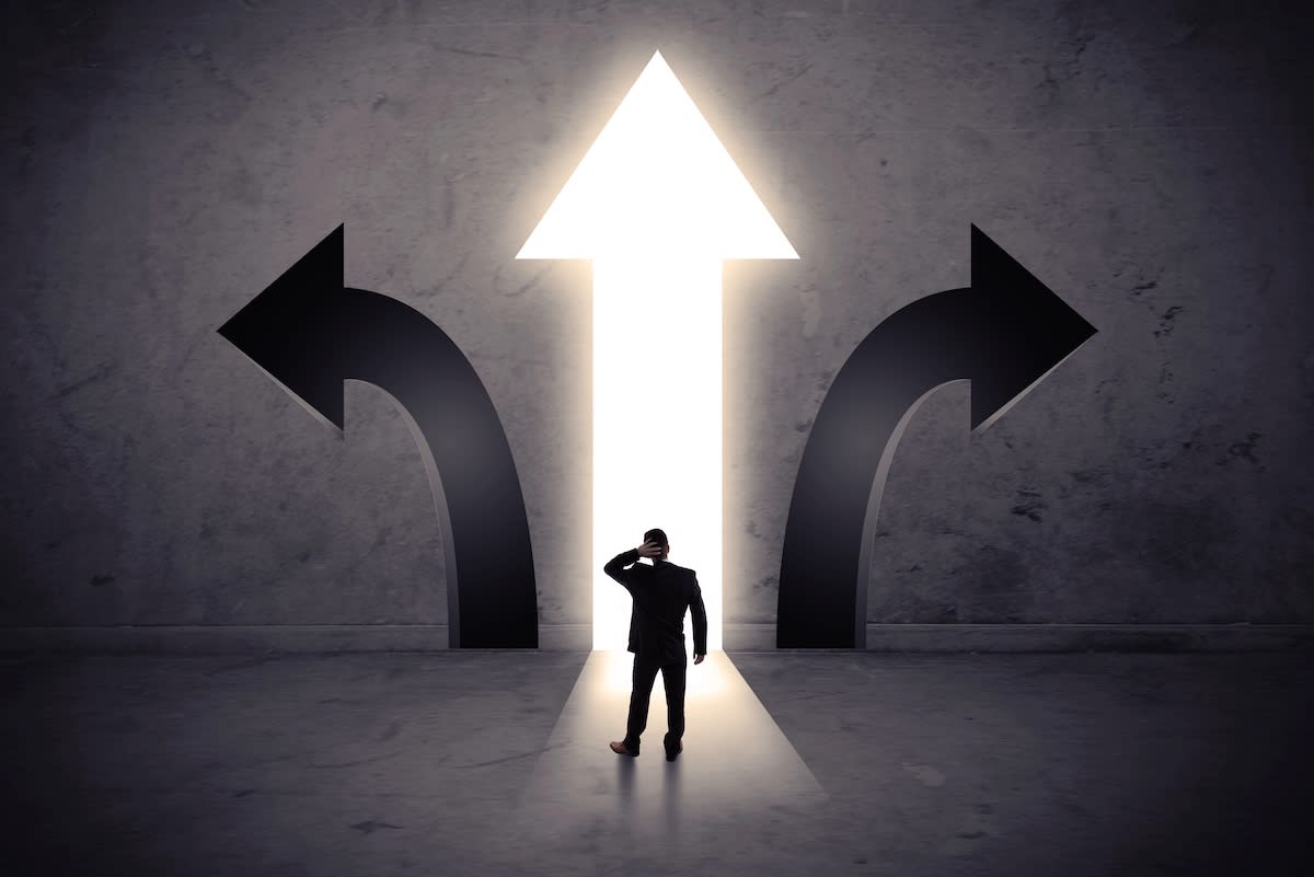 Repayment Assistance Plan (RAP) vs. IBR, PAYE, and SAVE