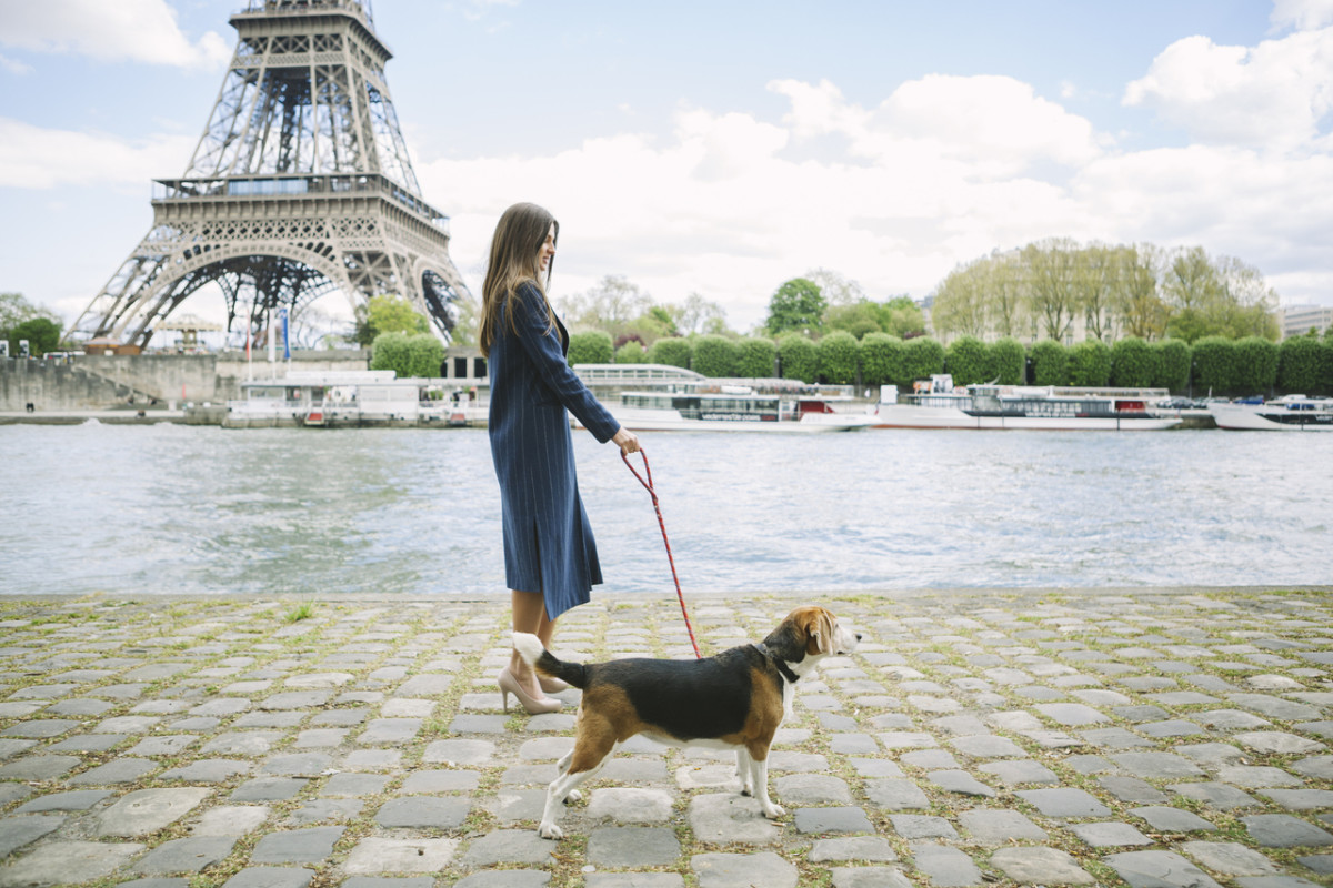 150+ French dog names with meanings