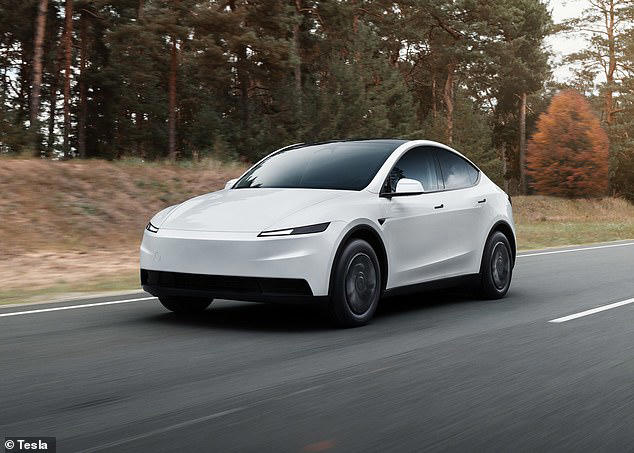 Cut-price Model Y Standard arrives soon - will cheaper version of Tesla ...