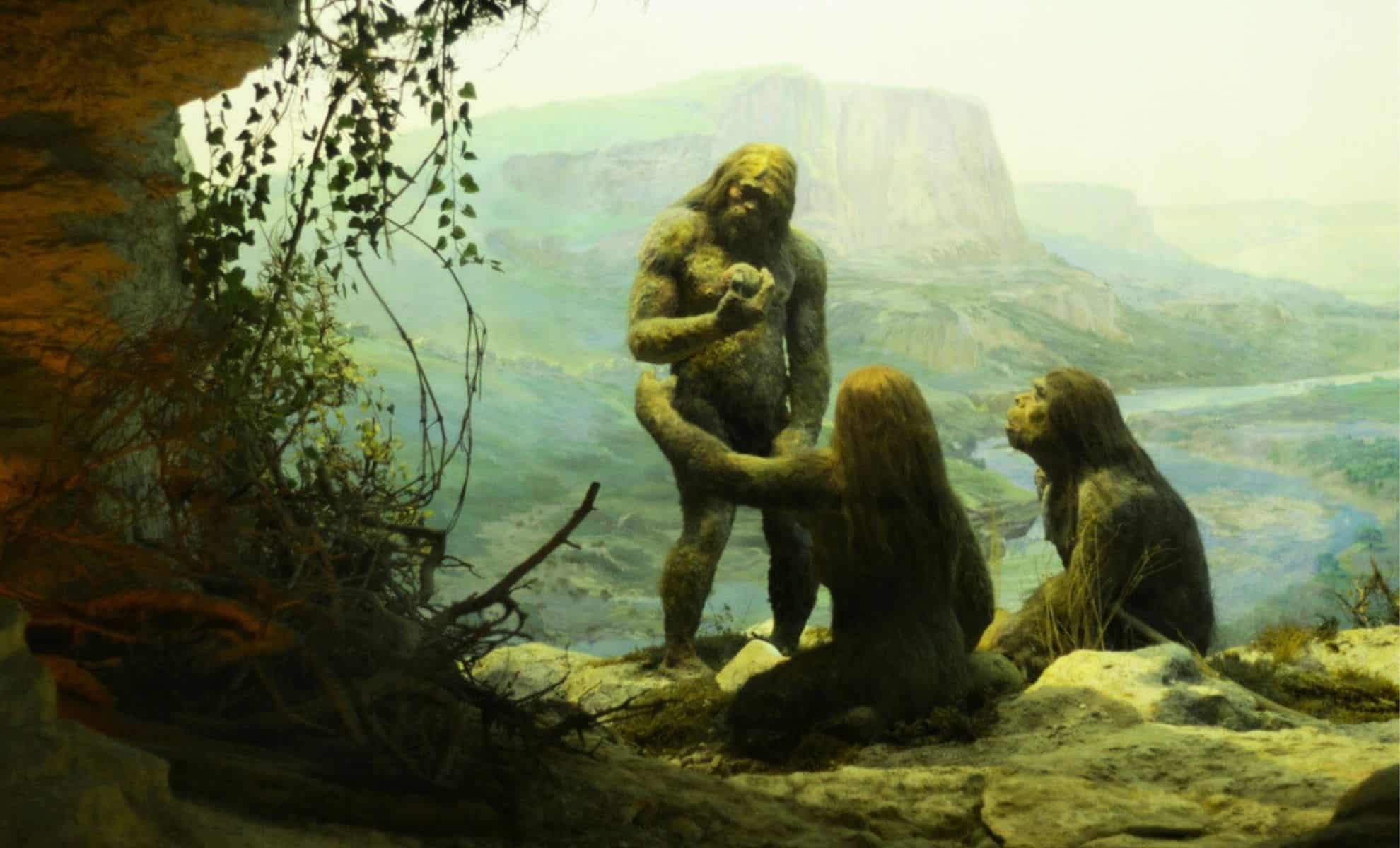 Scientists Uncover Evidence That Ancient Humans Were Eating Processed ...