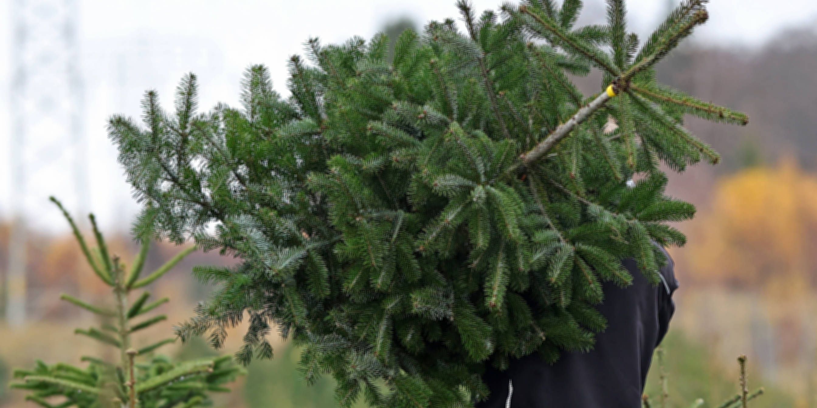 À Bordeaux, des patrouilles mobilisées pour sanctionner les dépôts ...