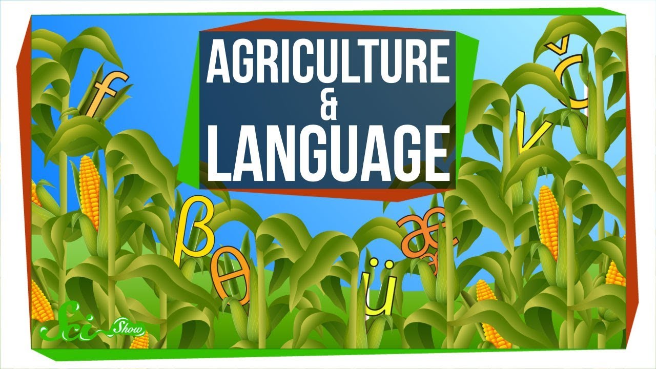 Agriculture may have changed how people speak | SciShow News