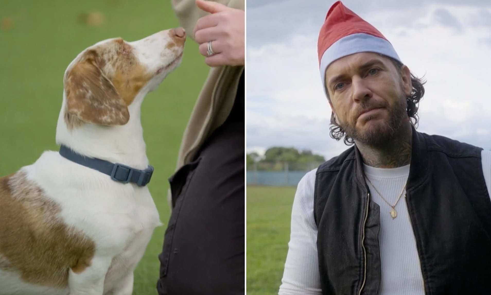 Pete Wicks fights back tears as blind dogs find their forever homes ...