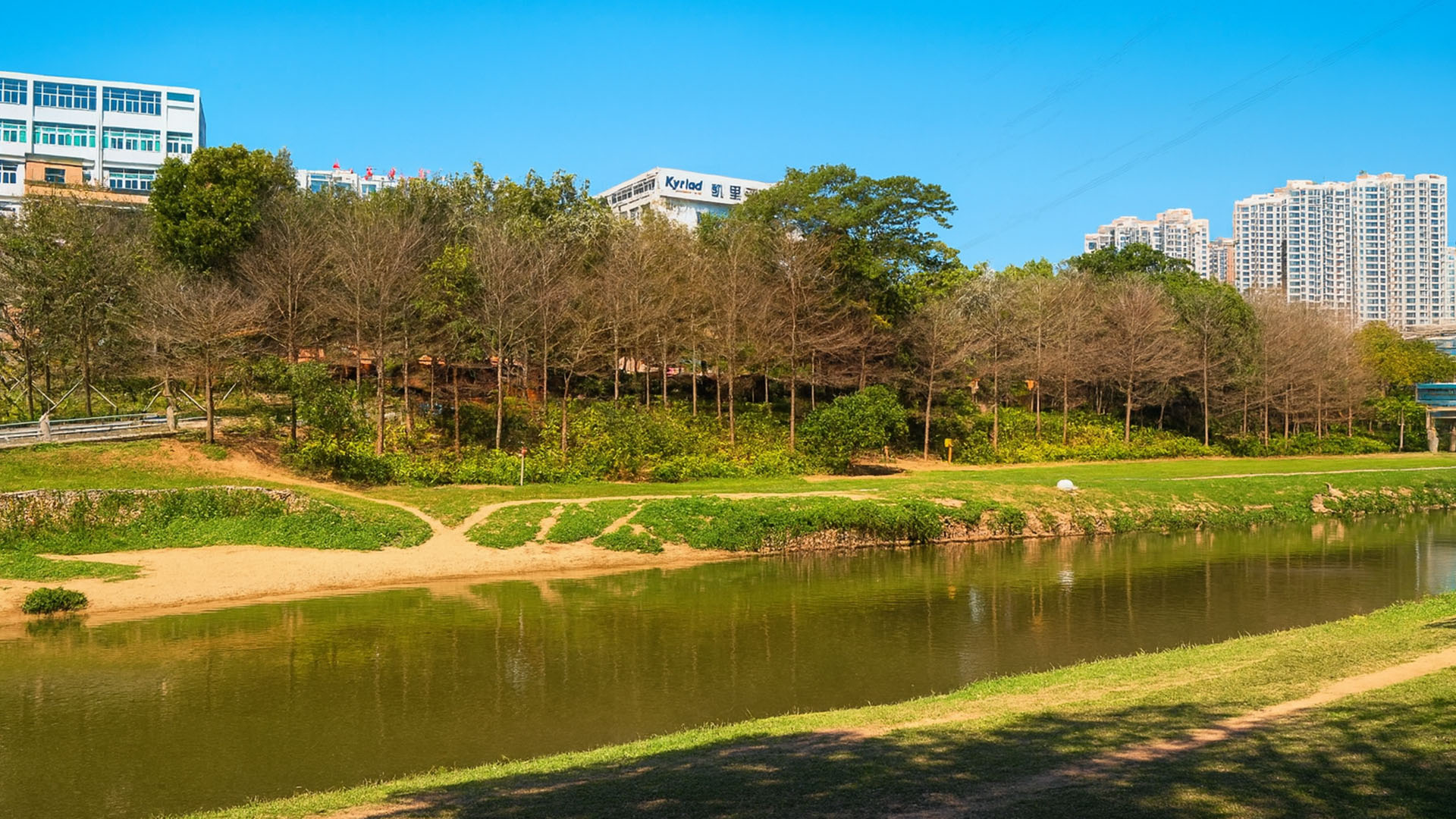 Discover Shenzhen’s quiet green riverside