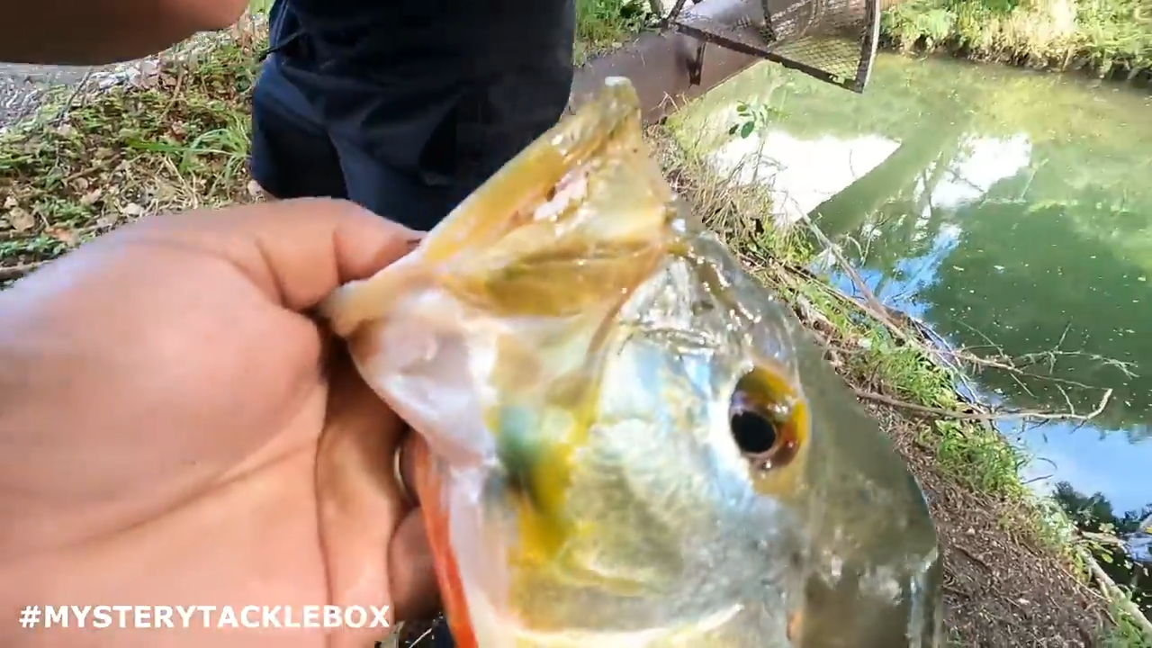 The mystery lures that hooked into big fish all day