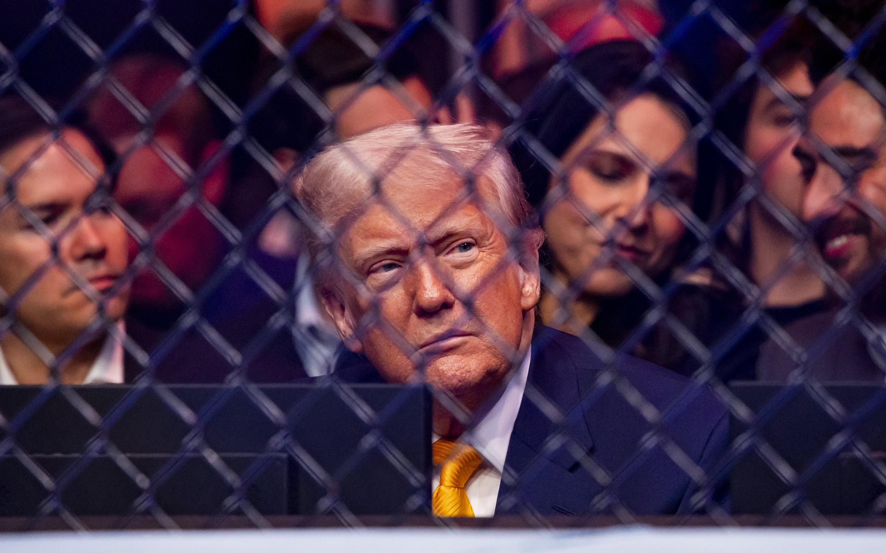 Video: Donald Trump claims UFC White House fight card will feature ...