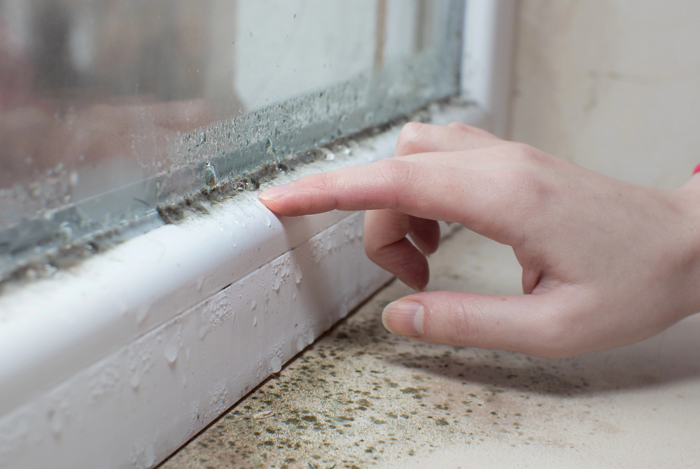 Signs your home needs maintenance you’re ignoring