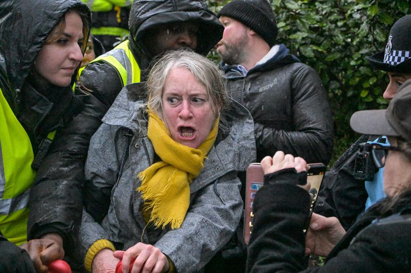 'Heads are going to roll,' say Falmouth protesters as trees are cut down