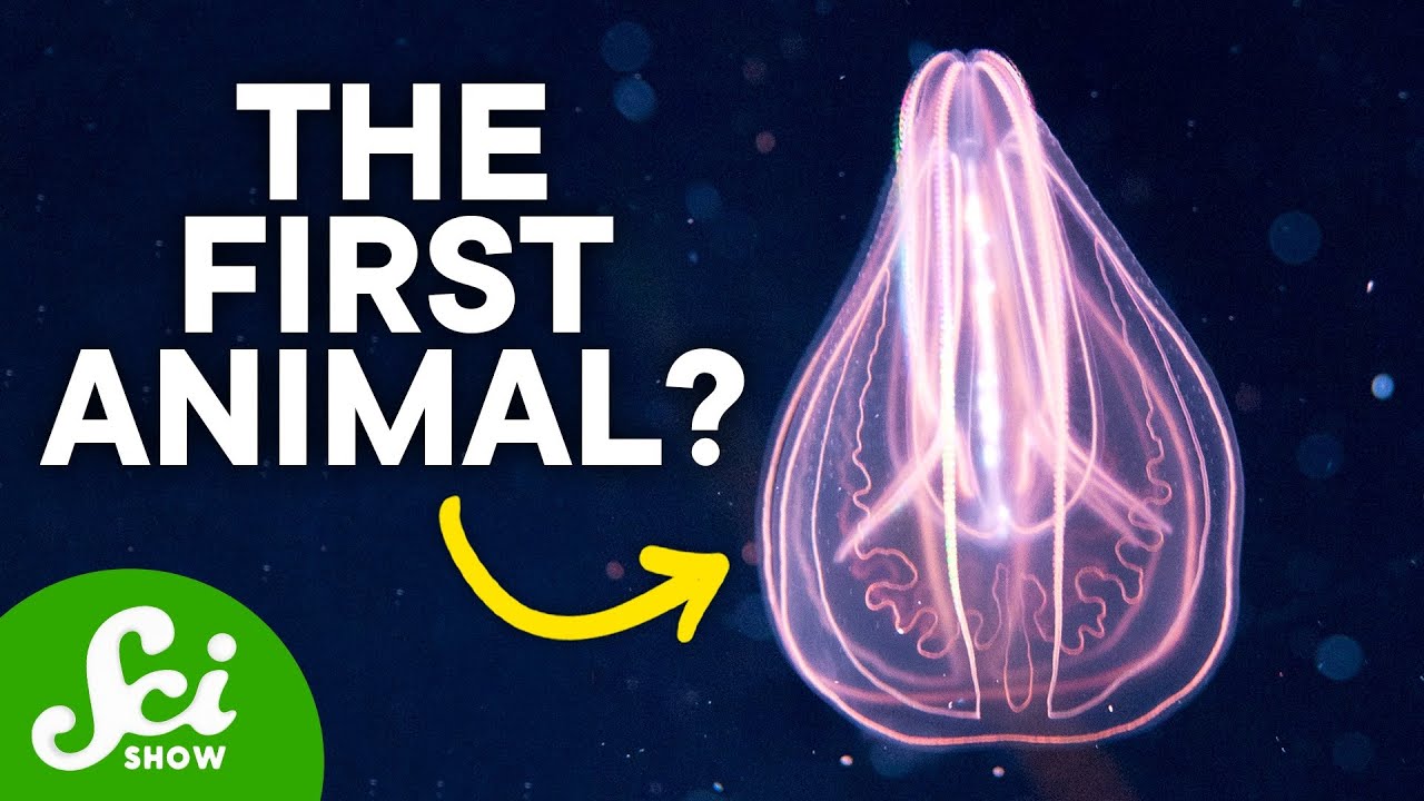 The first animal ever on Earth