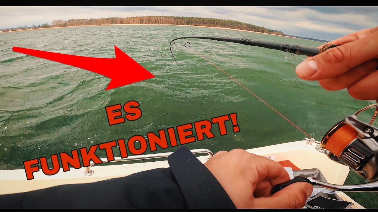 Fange jeweils einen Fisch mit Erbsen, Haaren, Cranberrys (unmögliche ...