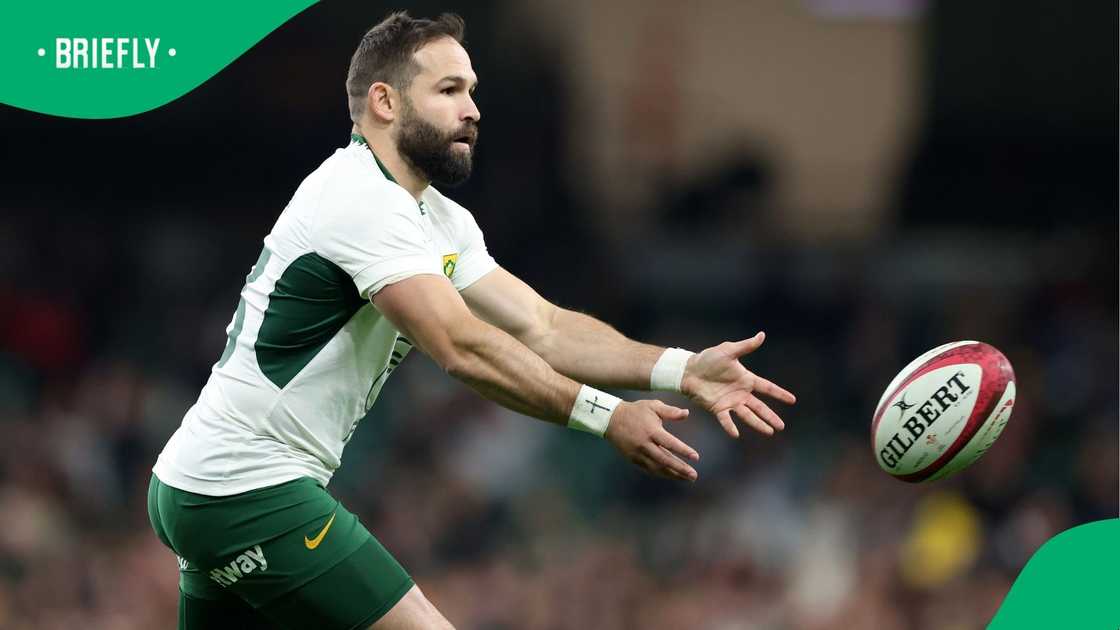 Springbok scrum-half Cobus Reinach aims for the 2027 Rugby World Cup ...