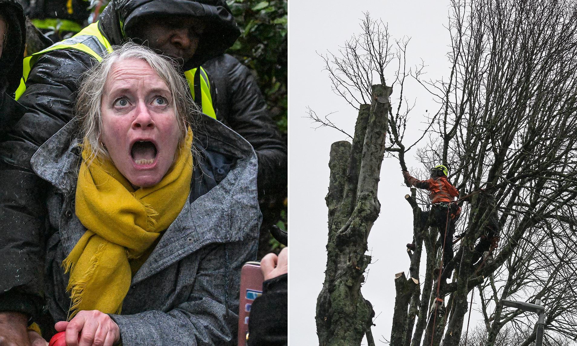 Furious protesters clash with police as trees chopped down by council ...