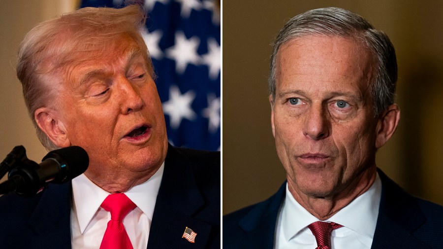 Republicans look to Trump to quell conservative rebellion in Senate
