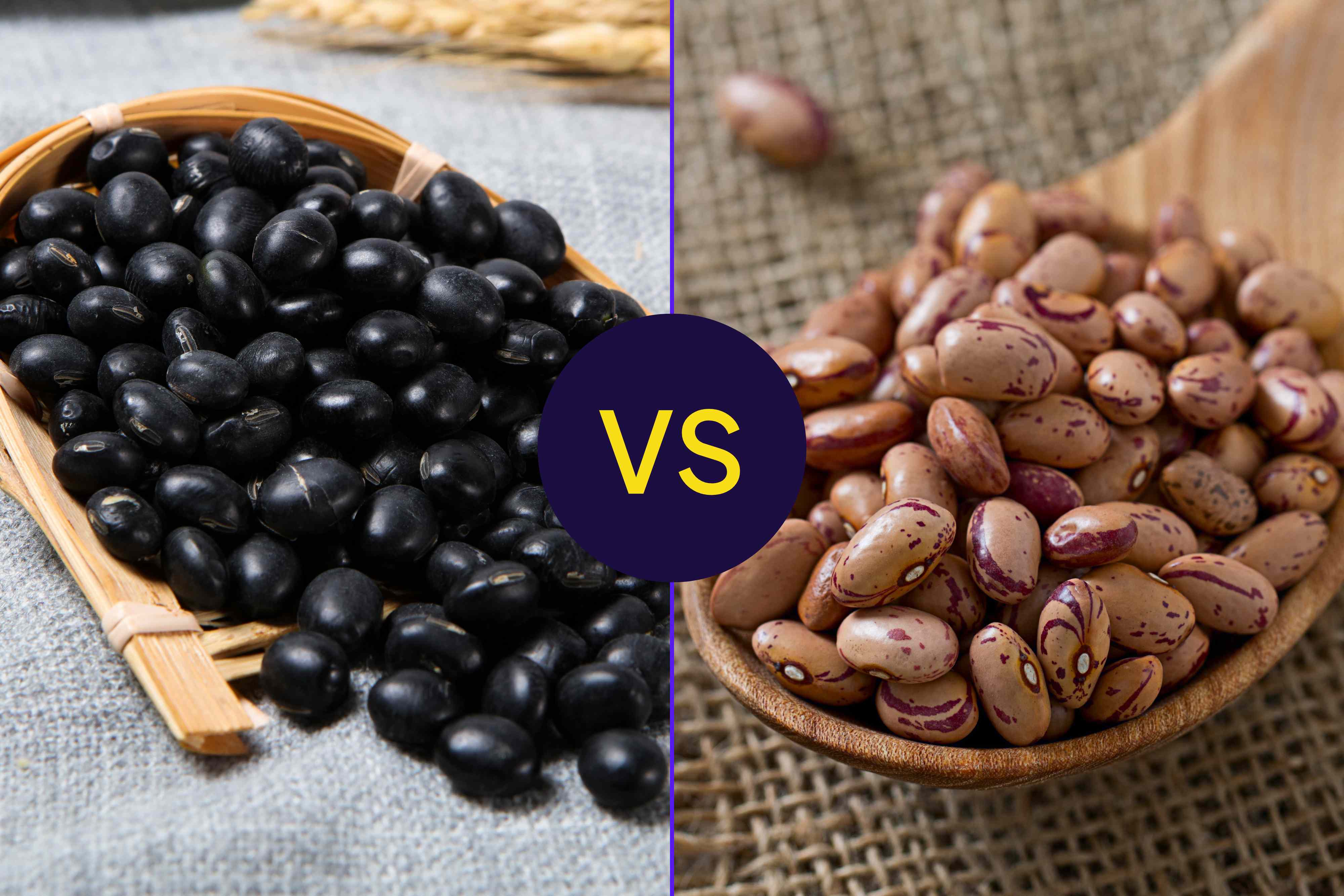 Black beans vs. pinto beans: Which are better for protein and fiber?