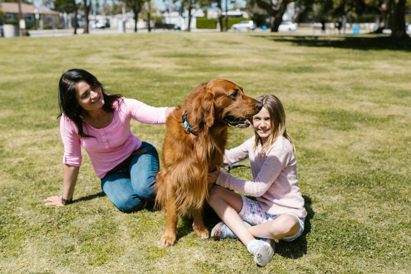Dog breeds that become completely obsessed with their humans