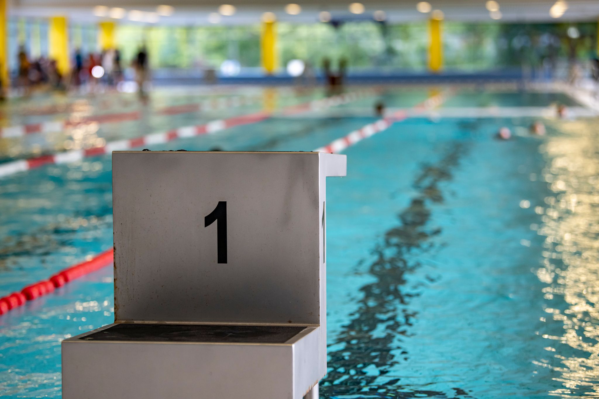 1 Std Schwimmen Kcal