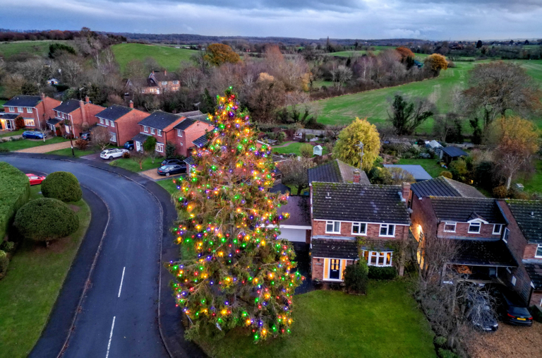 Christmas tree planted by couple in 1979 now stands 50-feet tall