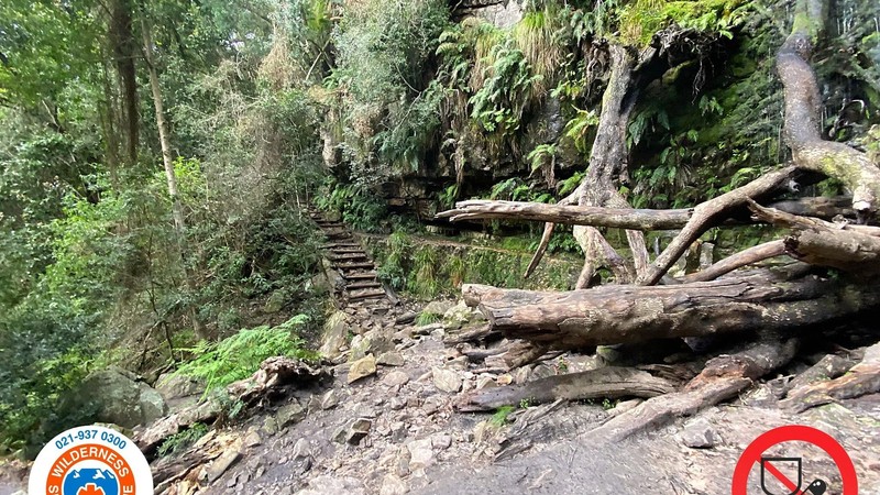 Hiker rescued after drug-related collapse near Cecilia Forest waterfall