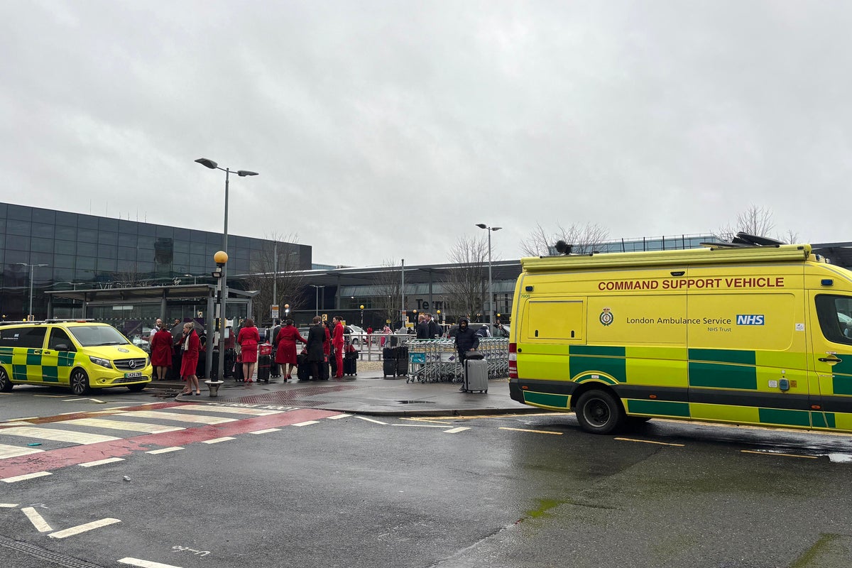 Two more arrests over Heathrow Airport 'pepper spray attack'