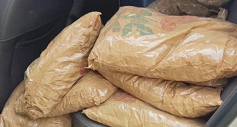 MP minister’s brother held as police bust inter-state ganja racket in Satna