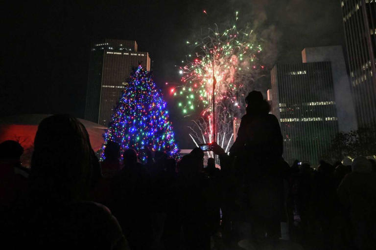 Photos: New York State tree lighting and firework festival lights up Albany