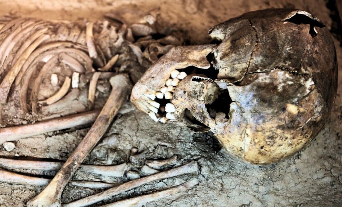 Meet Skhūl: A primal child buried in Israel who is possibly the first ...