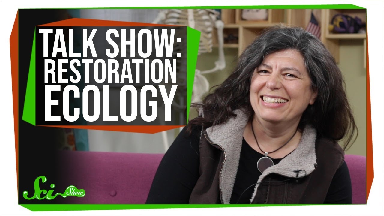 Invasive plants & restoration ecology | SciShow Talk Show