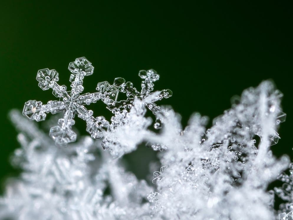 Snow days are back for elementary students in Radnor