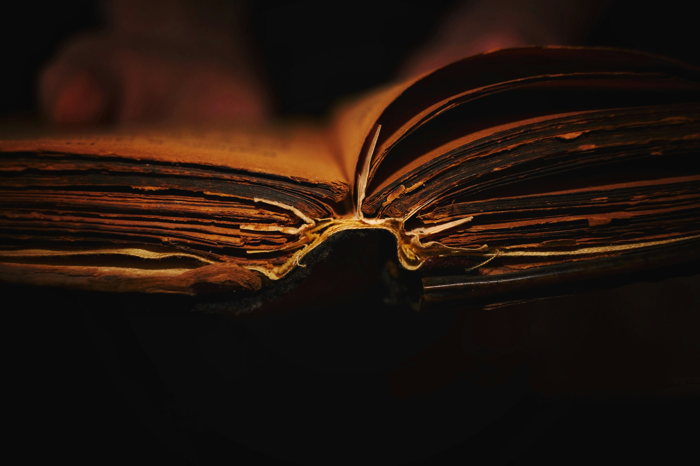 Forgotten slang words from past centuries