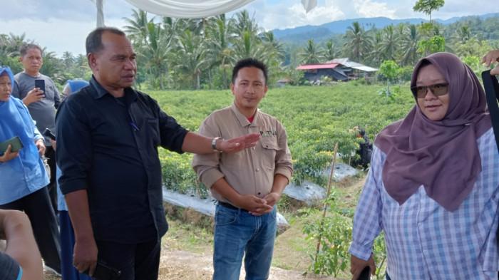 Pemkot Tidore Kepulauan pelajari inovasi, kado inflasi, di Kota Manado