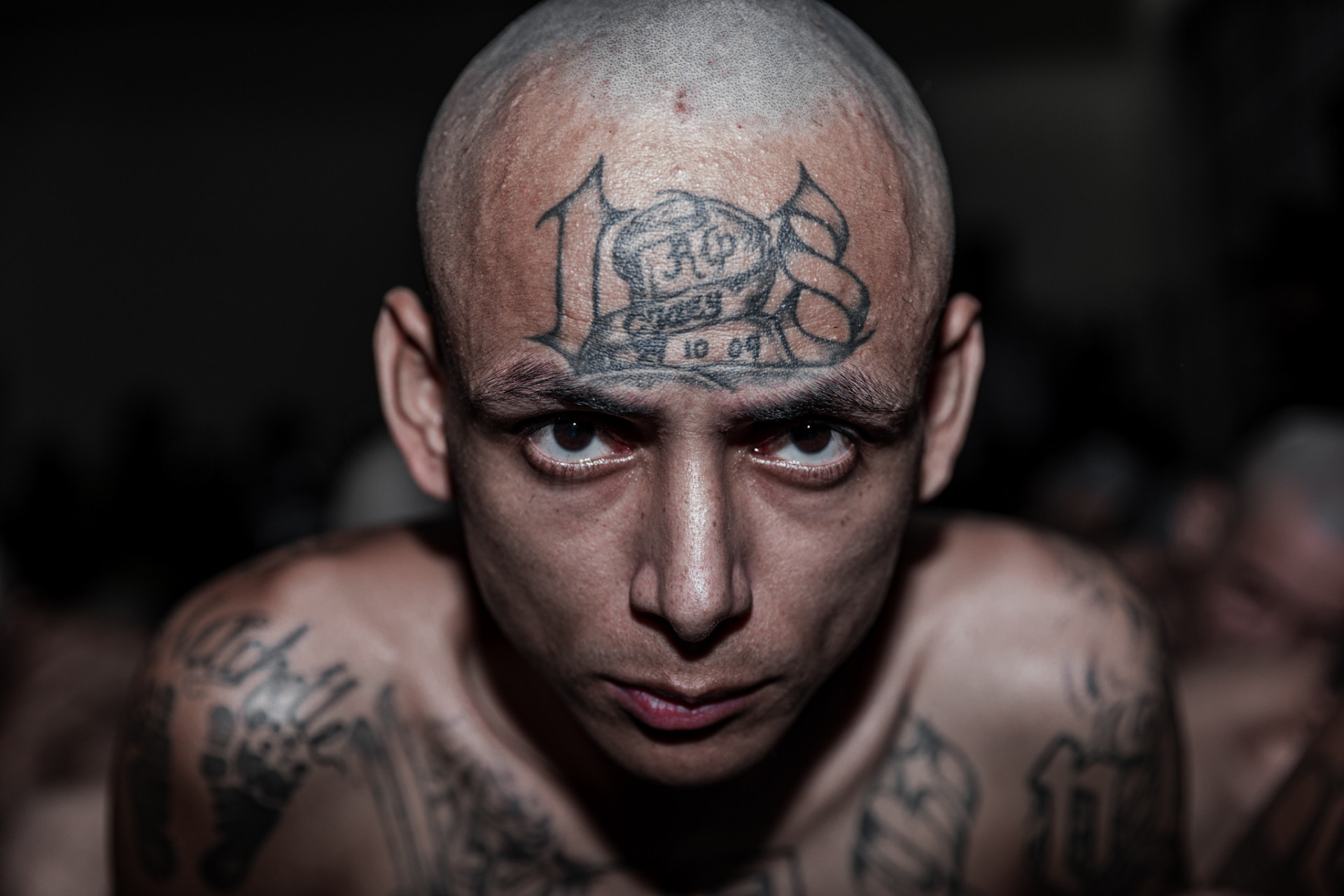 The most active criminal gangs in each US state
